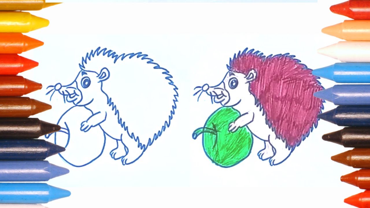 Hedgehog Drawing | How to draw HEDGEHOG | Easy drawing for kids ...