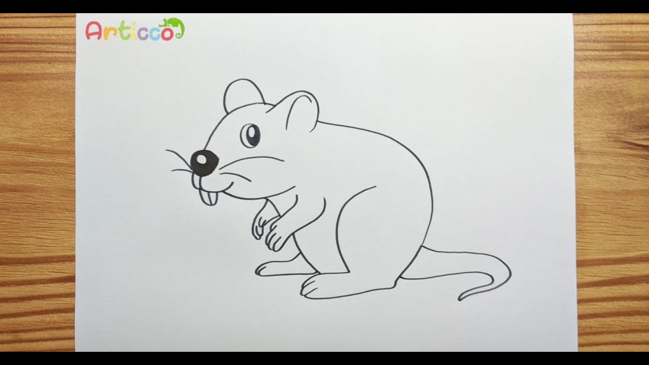 How to Draw MICE Easy For Kids Step by Step - YouTube