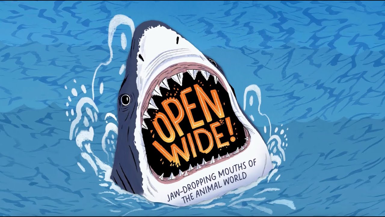 Open Wide! Book Trailer - YouTube