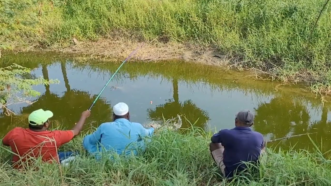 Small Single Hook fishing in Village Pond and Catching 2 type fish(baam ...