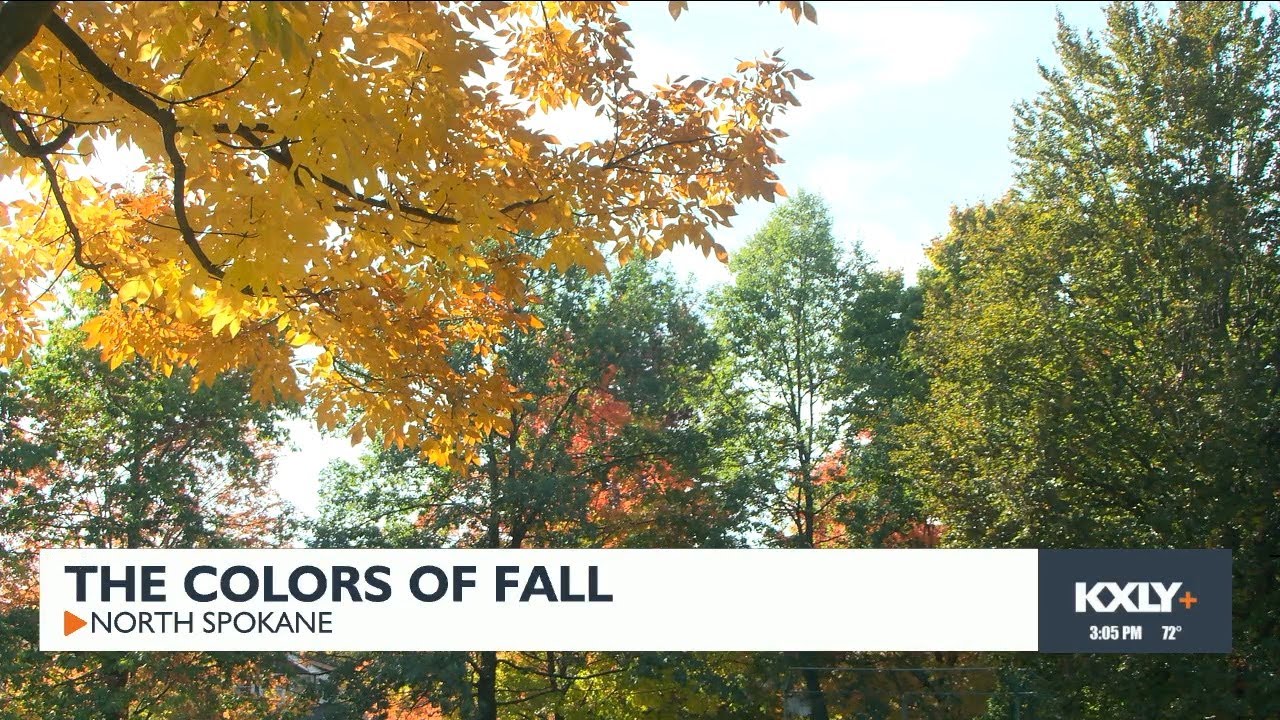 The colors of fall in Spokane four years after early snowfall in ...