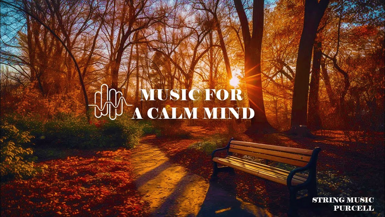 Music for a Calm Mind - YouTube