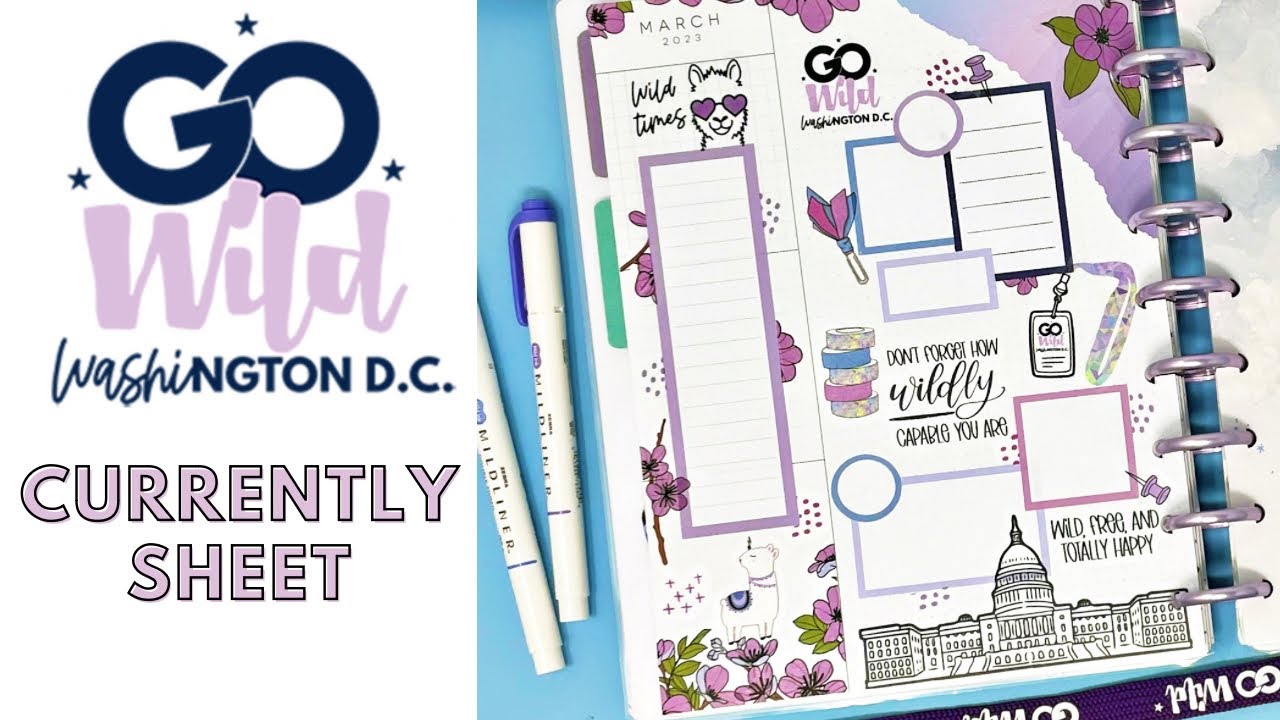 PLAN WITH ME | GO WILD CURRENTLY SHEET FOR MICHELLE | THE HAPPY PLANNER ...