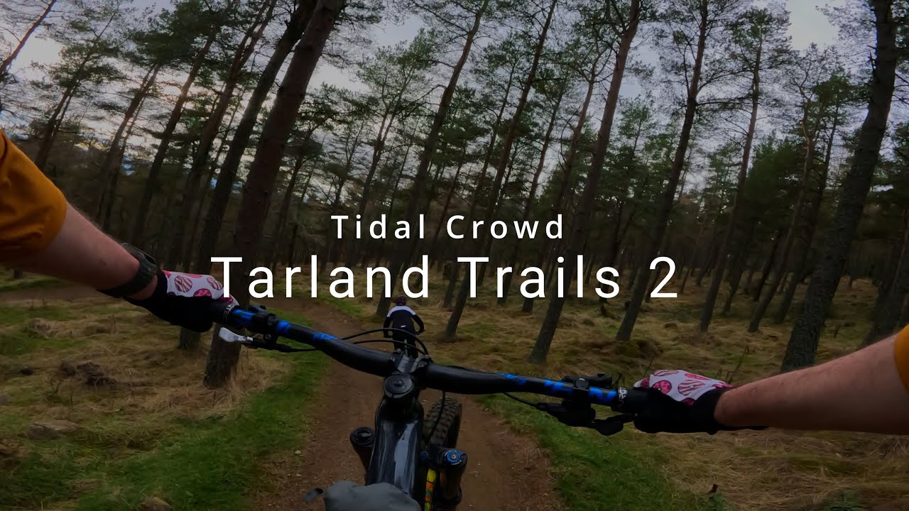 Tidal Crowd, Tarland Trails 2 - YouTube