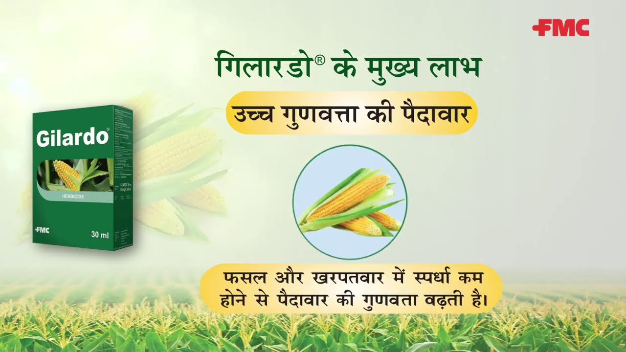 Gilardo® in Maize | Hindi | FMC - YouTube