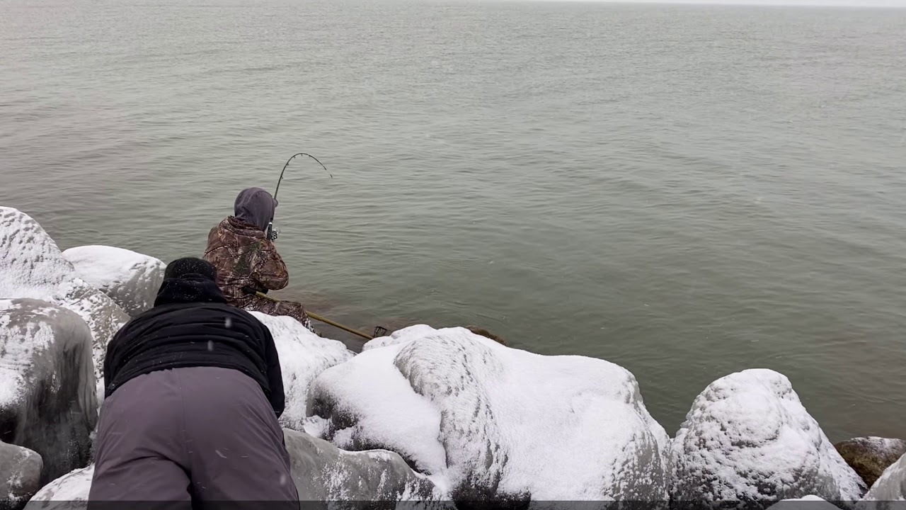 Fishing Harbor Beach, Michigan Burbot - YouTube
