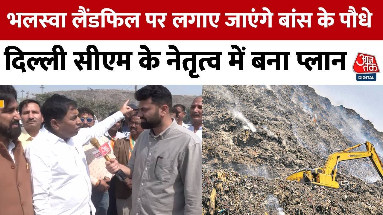 Bhalswa Landfill Site : बांस के पौधों से हराभरा होगा भलस्वा लैंडफिल ...