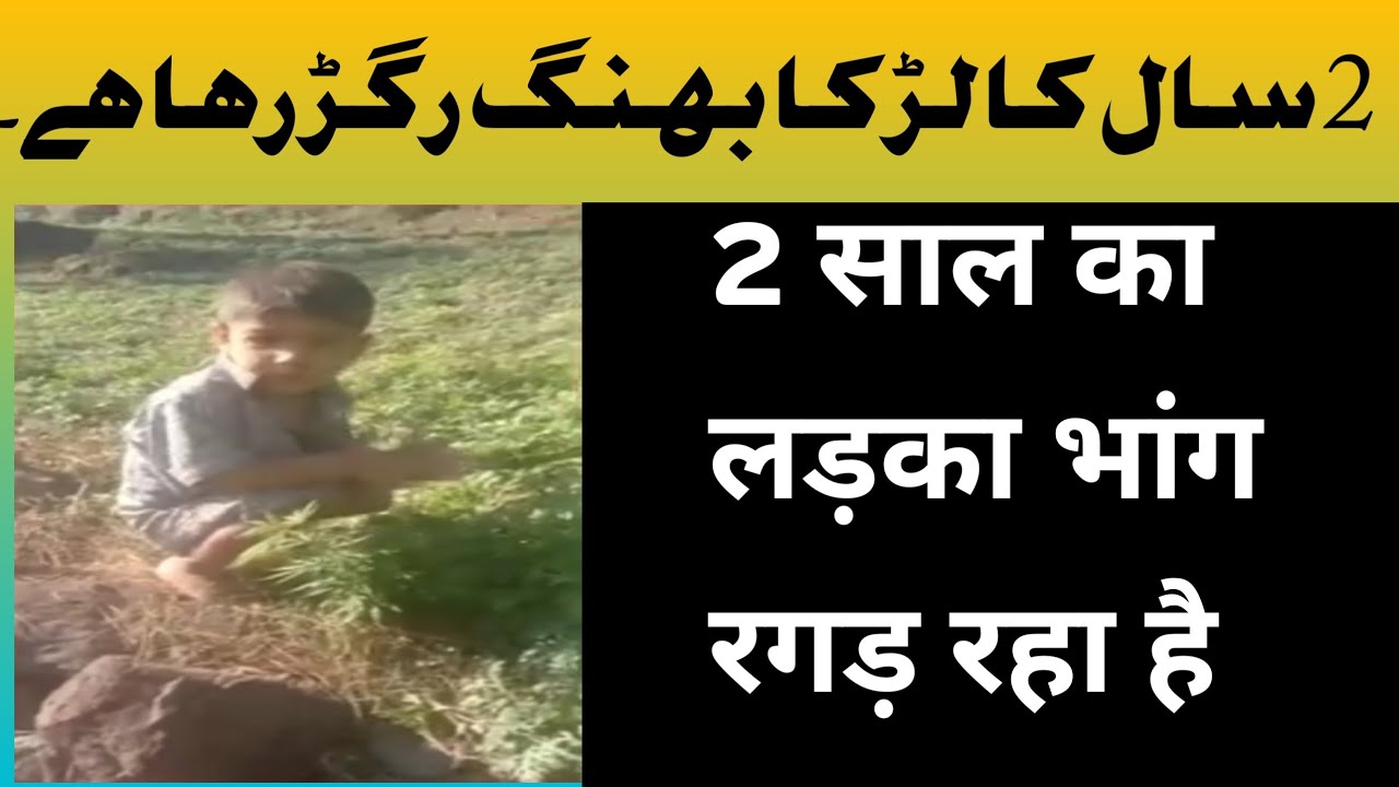 Astagfirullah 2 saal ka bacha bhang ragad raha hai - YouTube