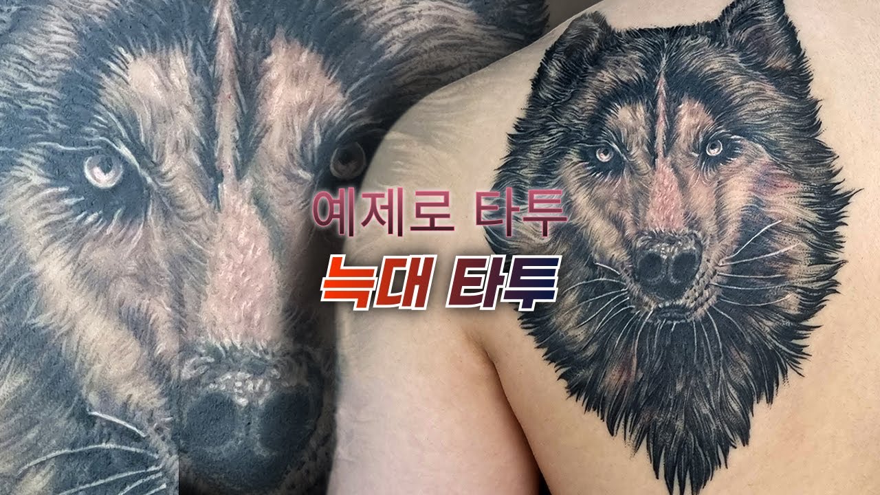 예제로타투 어깨에 그려진 늑대 소개 블랙앤그레이 장르 타투 늑대타투 수원타투 오산타투 화성타투 용인타투어깨타투 성남타투 평택타투 Youtube