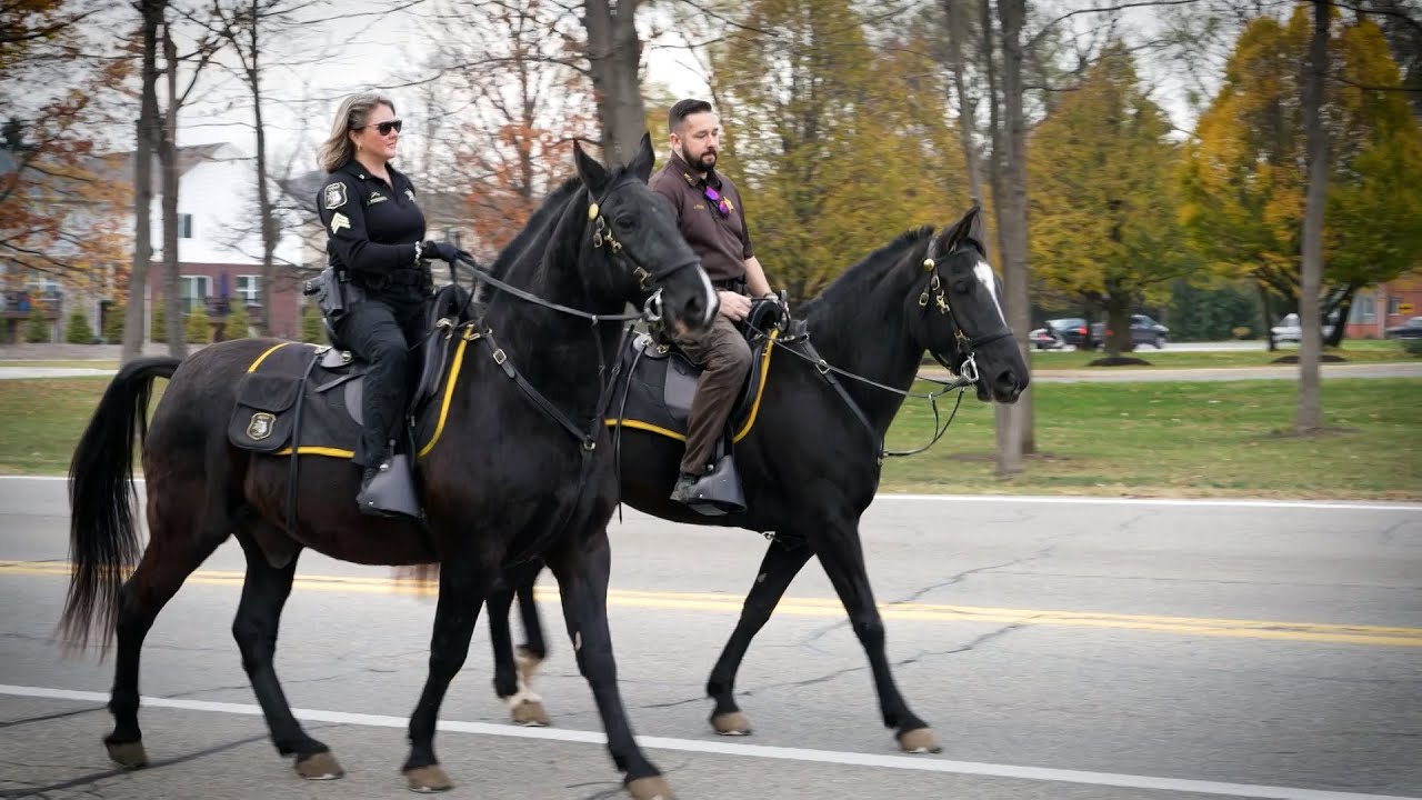 Cityscape - Wayne County Sheriff's Mounted Unit - YouTube