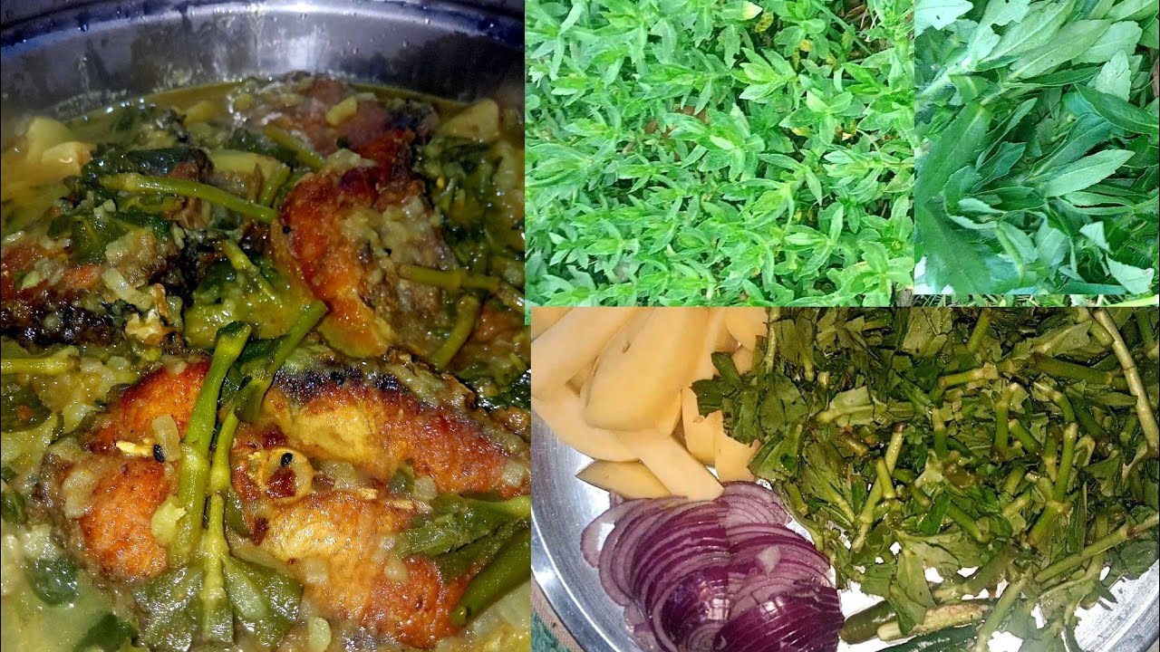 Village Food ।। হেলেঞ্চা শাক এর এই রেসিপি খেতে যেমন সুস্বাদু তেমনি ...