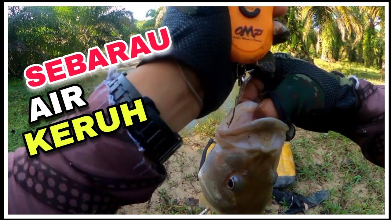 CASTING SEBARAU - YouTube