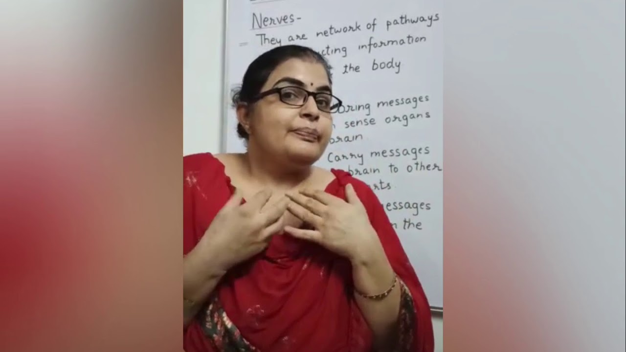 Class 5 Science Chapter 5 Video 3 YouTube class-5-science-chapter-5-video-3-youtube