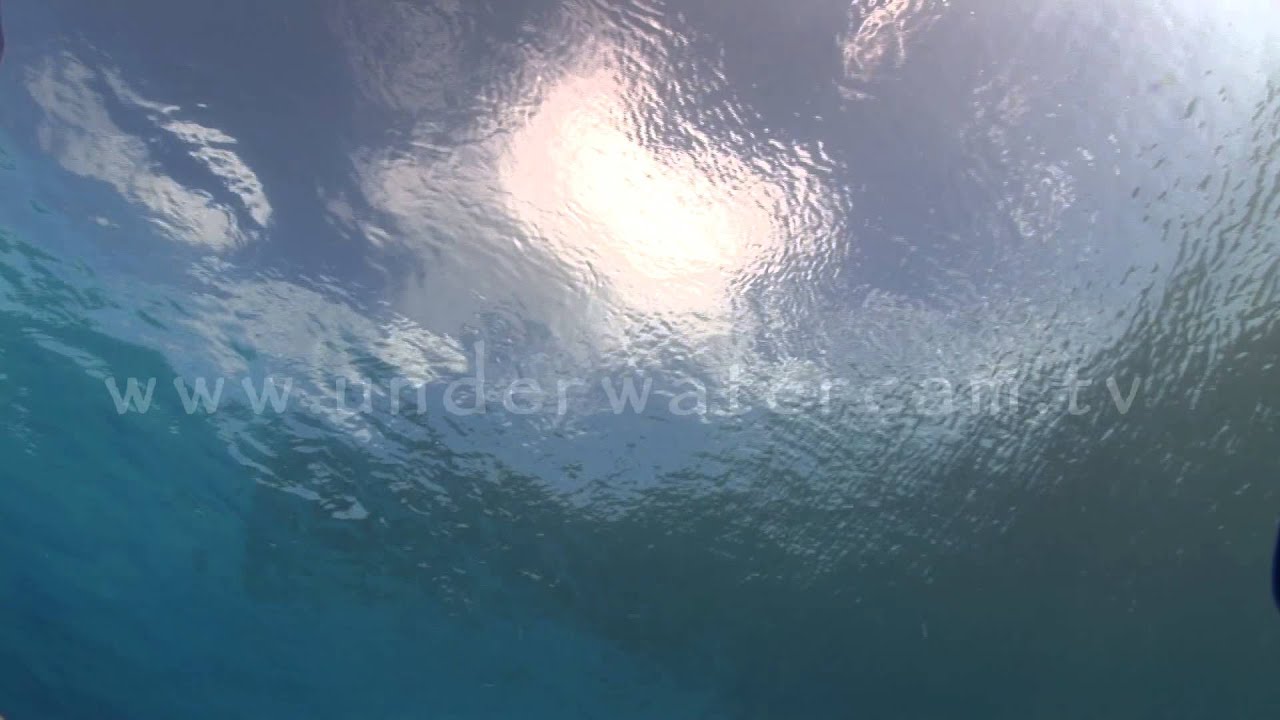 beautiful video of the water surface from below: video stock ...