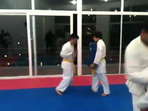 Kyokushinkai greece ( team Nikos Bilas)