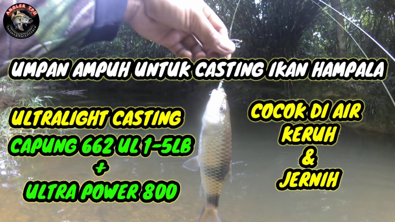 CASTING IKAN HAMPALA UMPAN SPOON KILLER || ULTRALIGHT CAPUNG 662 UL ...