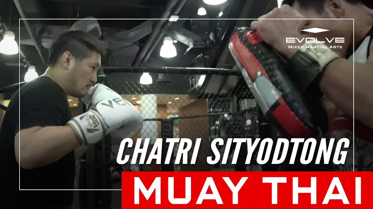 Chatri Sityodtong | Muay Thai Training - YouTube