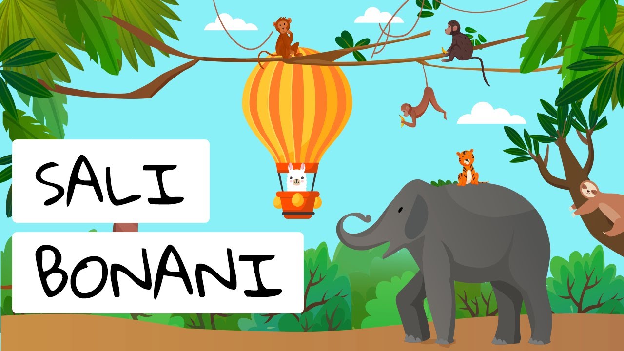 SALIBONANI | International song to sing and play along | Andreea's ...