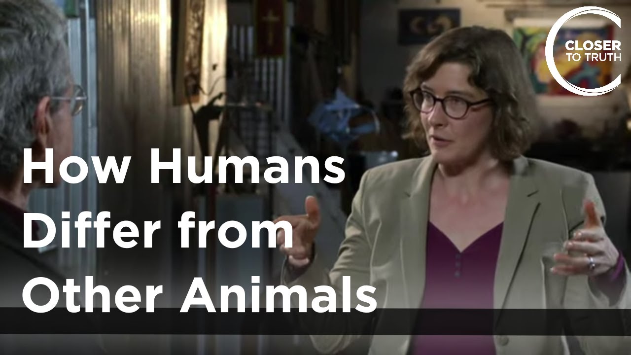 Julia Mossbridge - How Humans Differ from Other Animals - YouTube