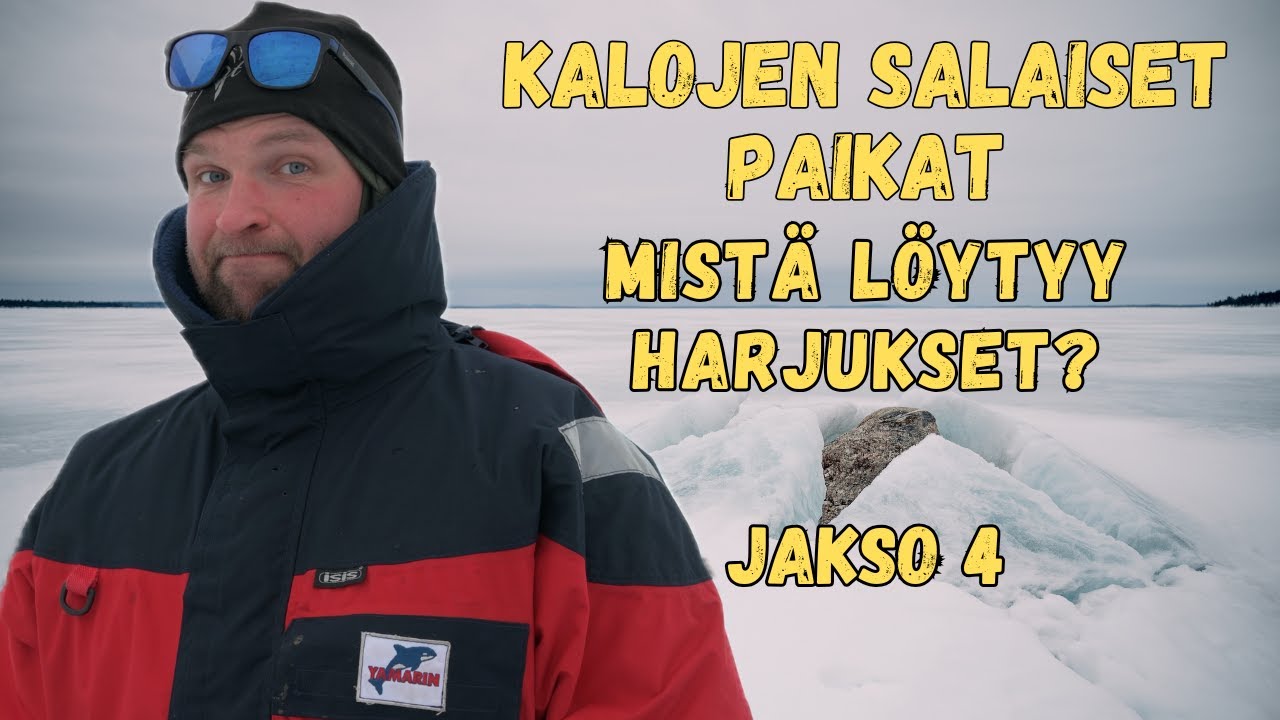 Kalojen salaiset paikat - mistä löytyy harjukset? - YouTube