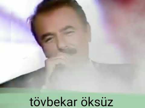 EVLERİNİN ÖNÜ CALI