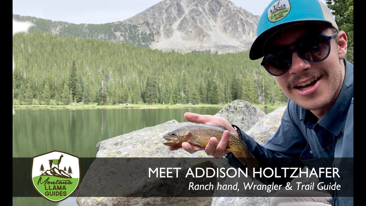 Guide Profile | Addison Holtzhafer of Montana Llama Guides - YouTube