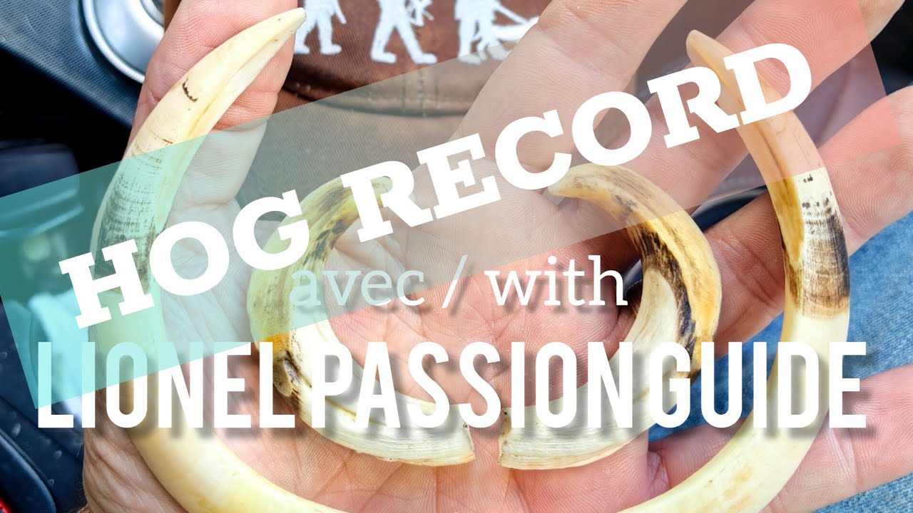HOG Record with Lionel Passion Guide - YouTube
