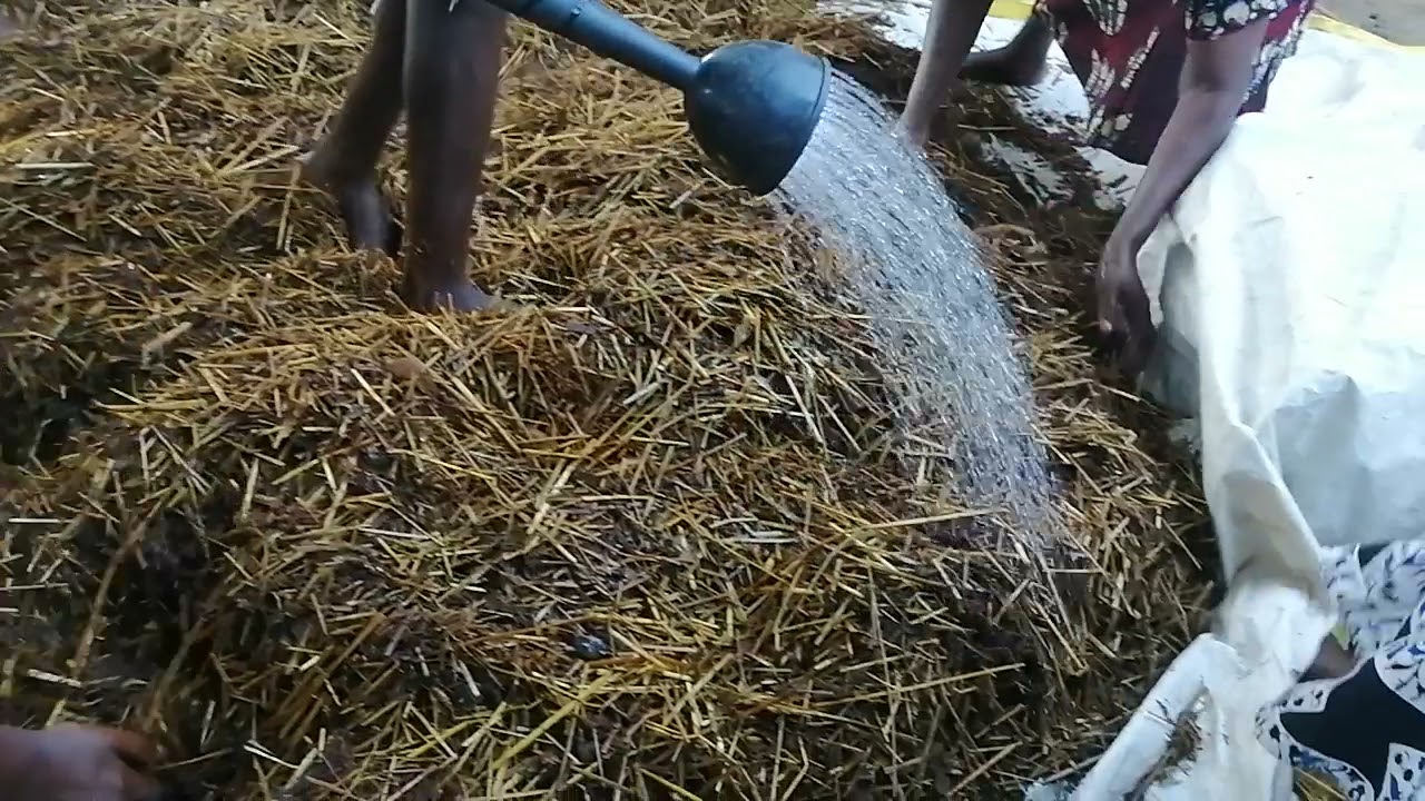 Ifakara - Morogoro - YouTube