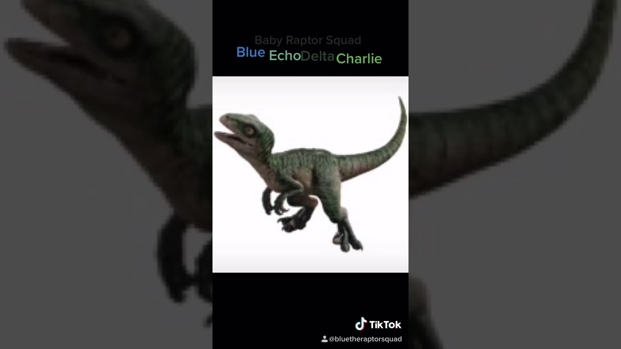 The Raptor Squad Blue Echo Delta Charlie (Jurassic World Fallen Kingdom ...