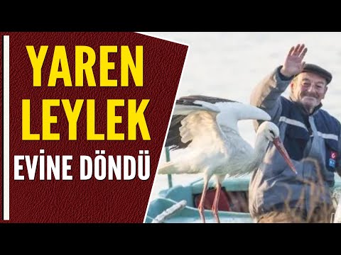 LEYLEK YAREN - ADEM AMCA BULUŞMASI!