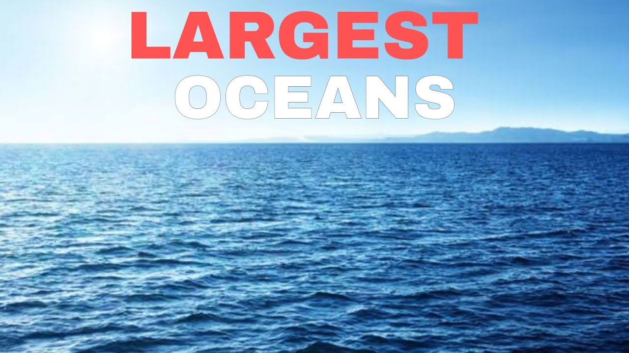 Top 10 Largest Oceans In The World - YouTube