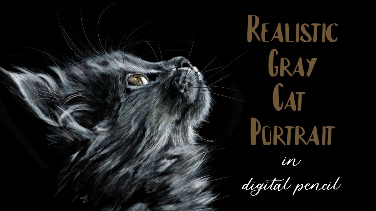 Realistic Gray Cat Portrait / Digital painting / Digital pencil / Speed ...