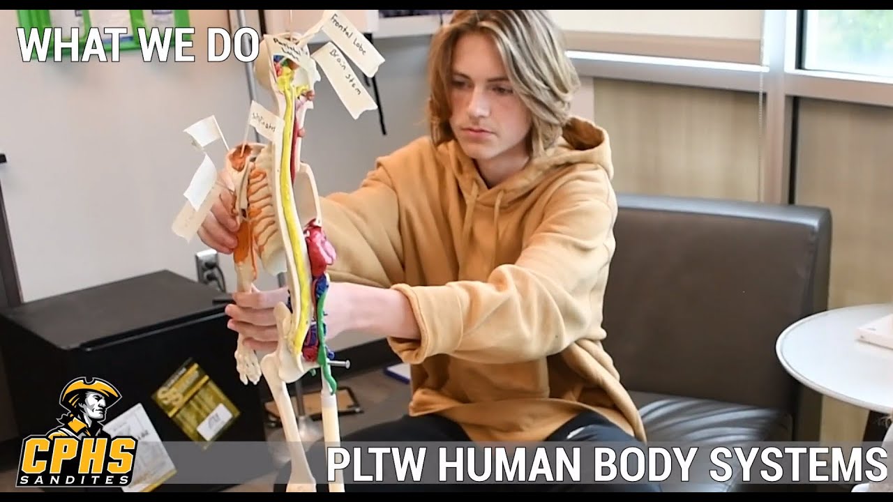 CPHS Human Body Systems - YouTube