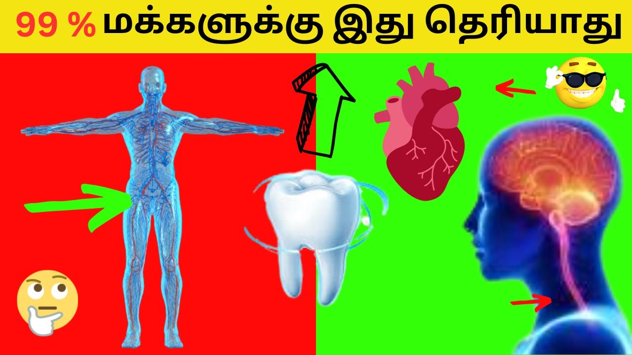 10 Unknown Facts About Human Body In Tamil Most Amazing Facts 10-unknown-facts-about-human-body-in-tamil-most-amazing-facts