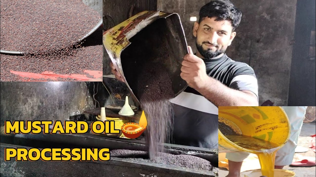 Unique Mustard Oil 🪔 Expeller Machine in Villages | Mustard Oil 🪔 ...