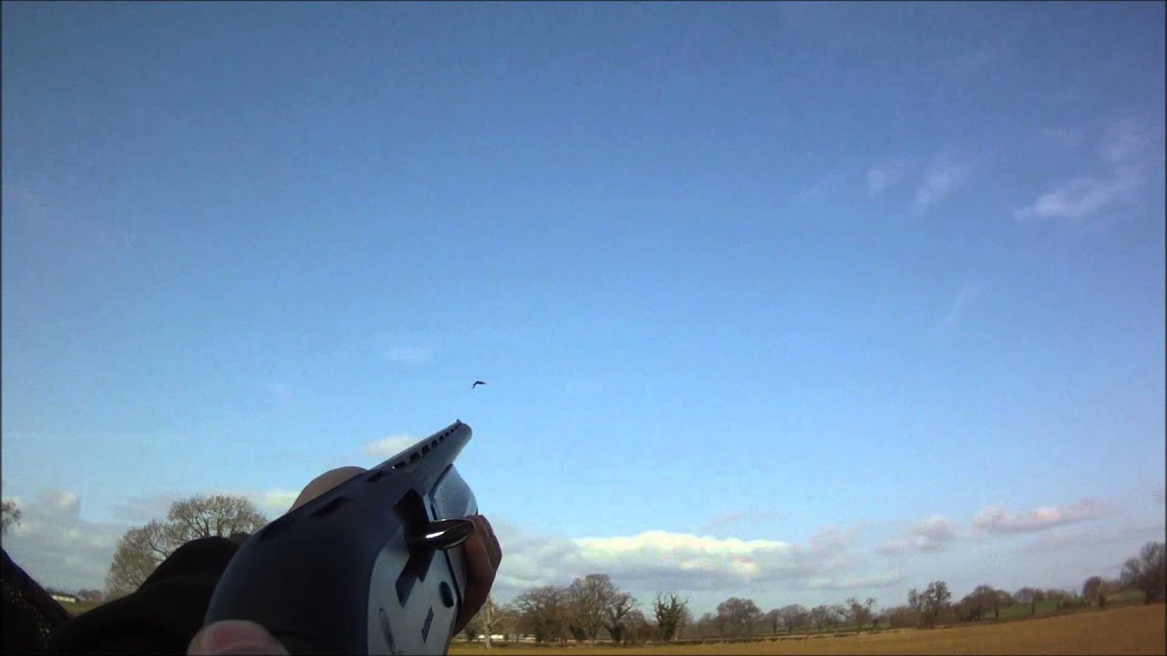 Crow Shooting - YouTube