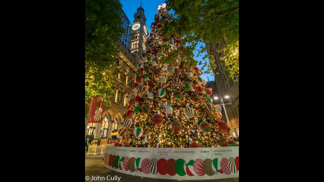 Christmas Tree At Martin Place Sydney 2018 - YouTube