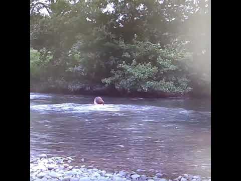 Summer wild Swimming in the river Derwent - YouTube