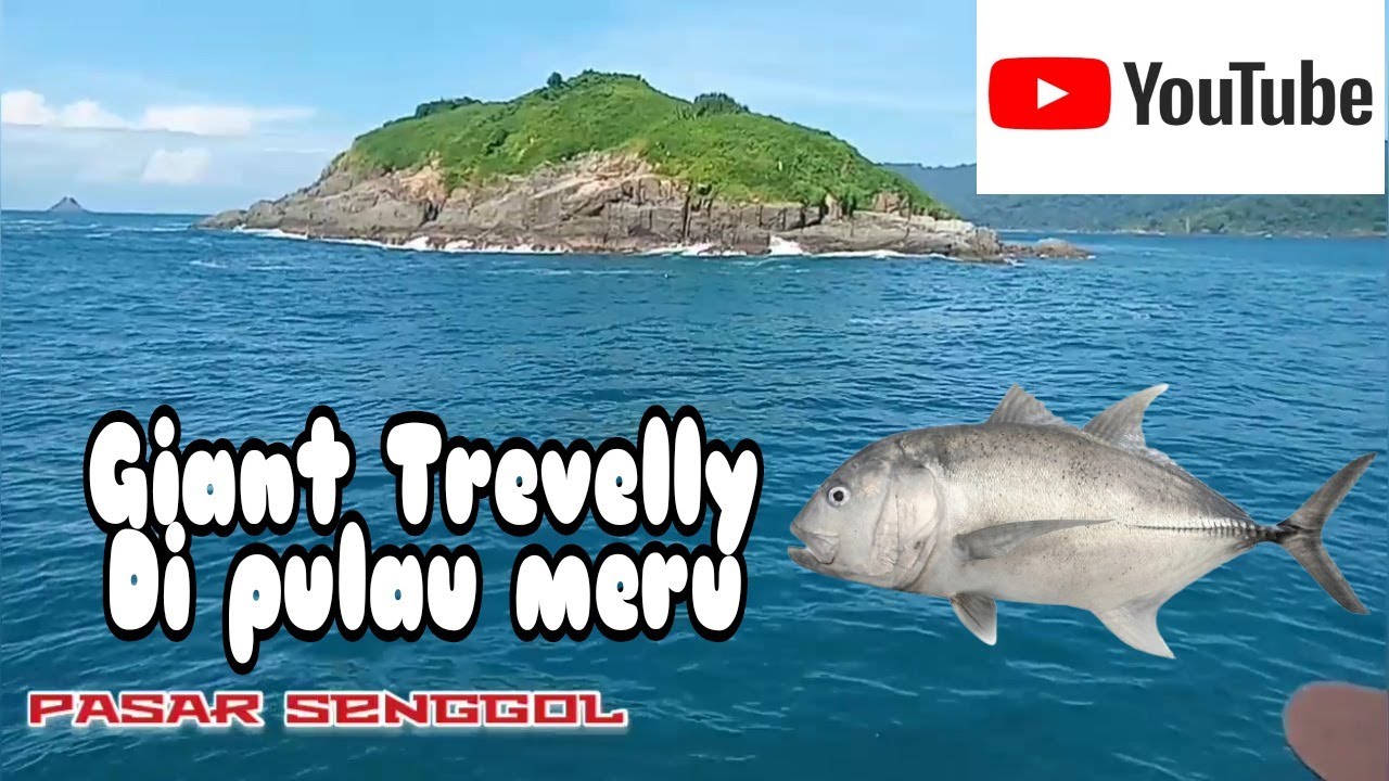 Nelayan Tidak Berani Menebar Payang/ jaring Terhalang Batu Karang - YouTube