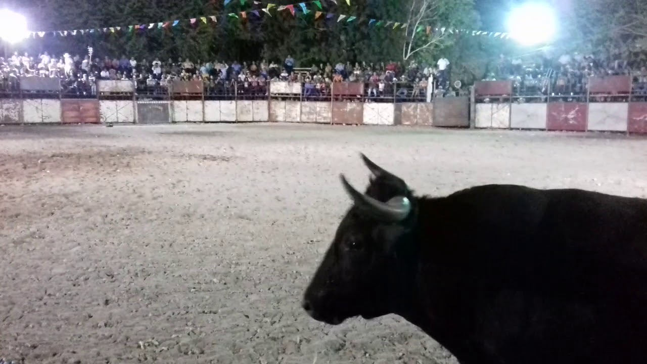 Torneo de lazo rancho viejo cancun(5) - YouTube