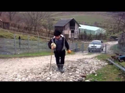 Андогин бадмутин  юмор