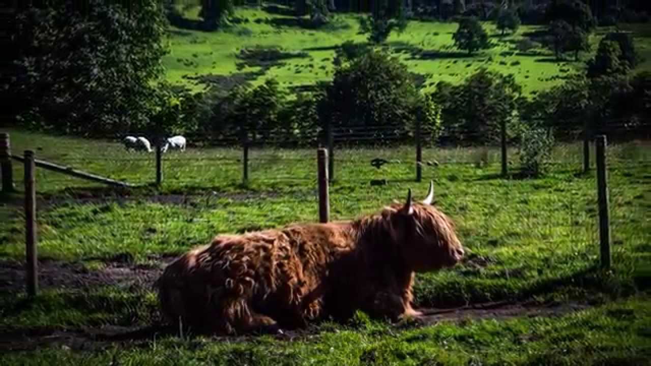 Scotland, Highlands, Lands of Clan Hay & England (Mostly for family ...