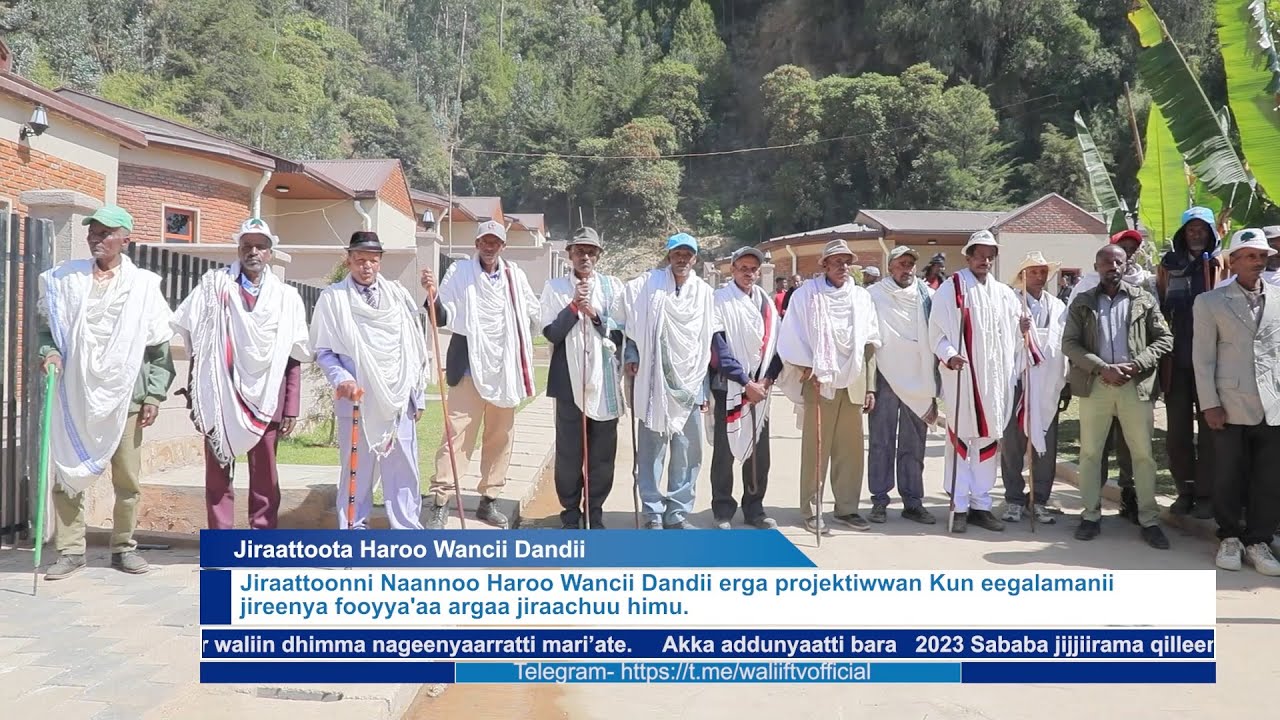 Jiraattota Haroo Wancii Dandii (Mudde ,25,2023) Finfinnee. - YouTube
