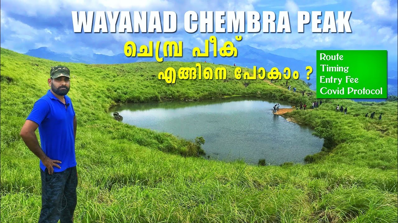 Chembra Peak Trip Plan | How to go Wayanad Chembra Peak | Wayanad ...