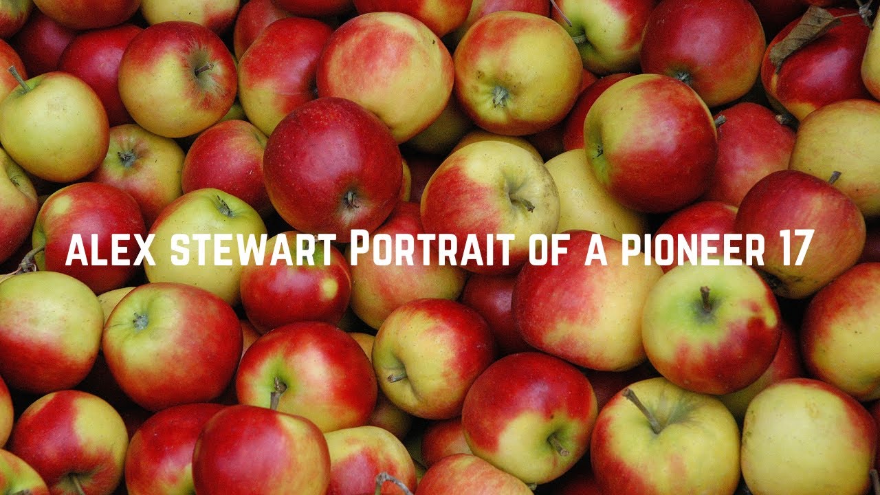 Alex Stewart Portrait of a Pioneer 17 - AUDIO BOOK - YouTube
