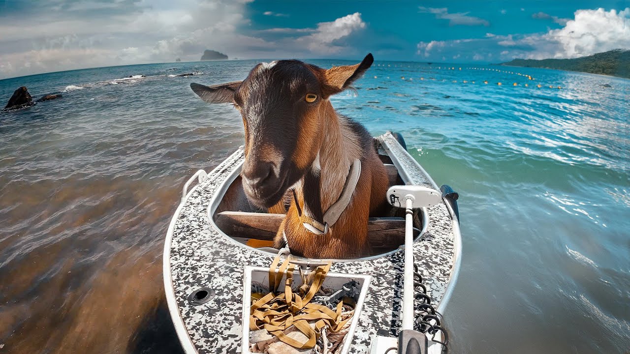 Fishing with a Goat - YouTube