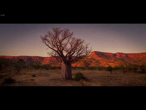 🎶  BLOOM - LA VIDA HABLA [RELAXING MUSIC] | HD 🎬