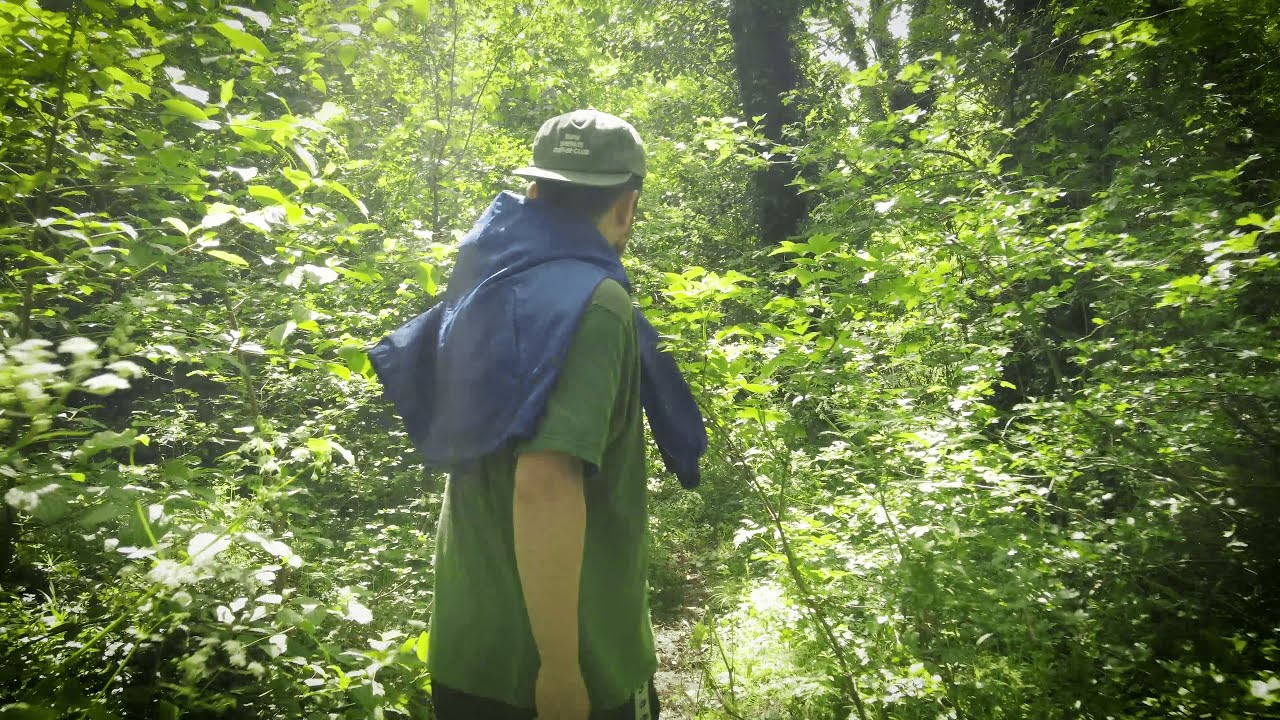 Charlie Trees - GUSTO (Produced by Charlie Trees) - YouTube