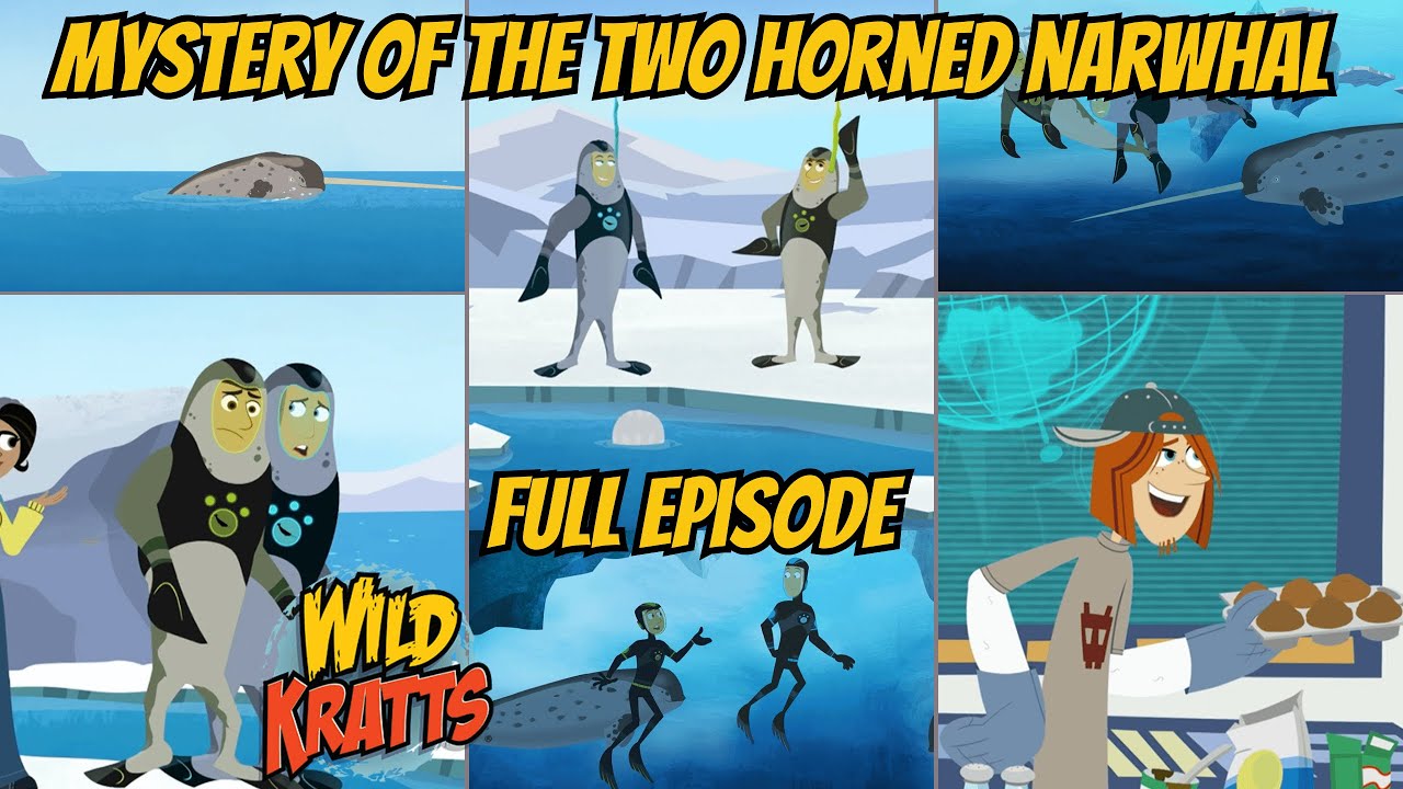 Wild Kratts S04E21 - The Mystery of the Two Horned Narwhal (Full ...