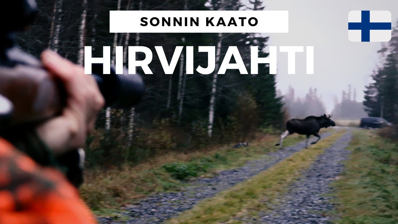 HIRVENMETSÄSTYS / MOOSE HUNTING 2023 "SONNIN KAATO" - YouTube
